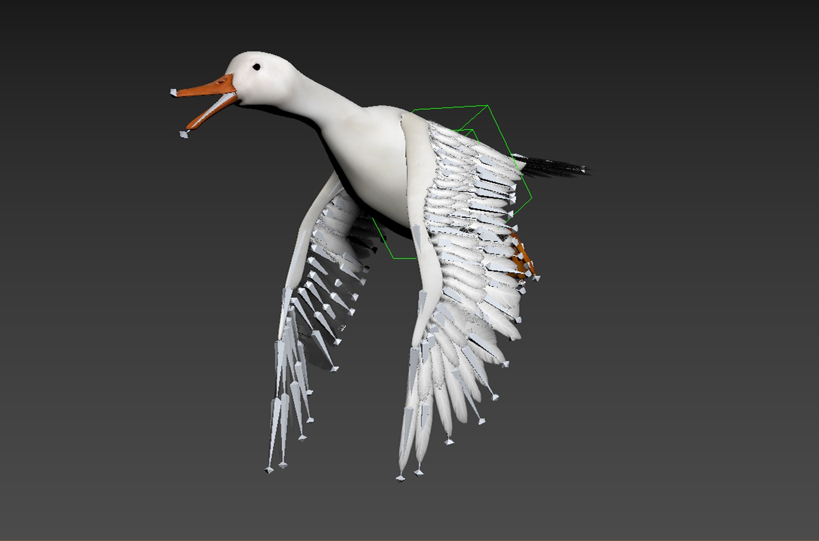Realistic White Duck Rigging 3D Model - TurboSquid 1201727