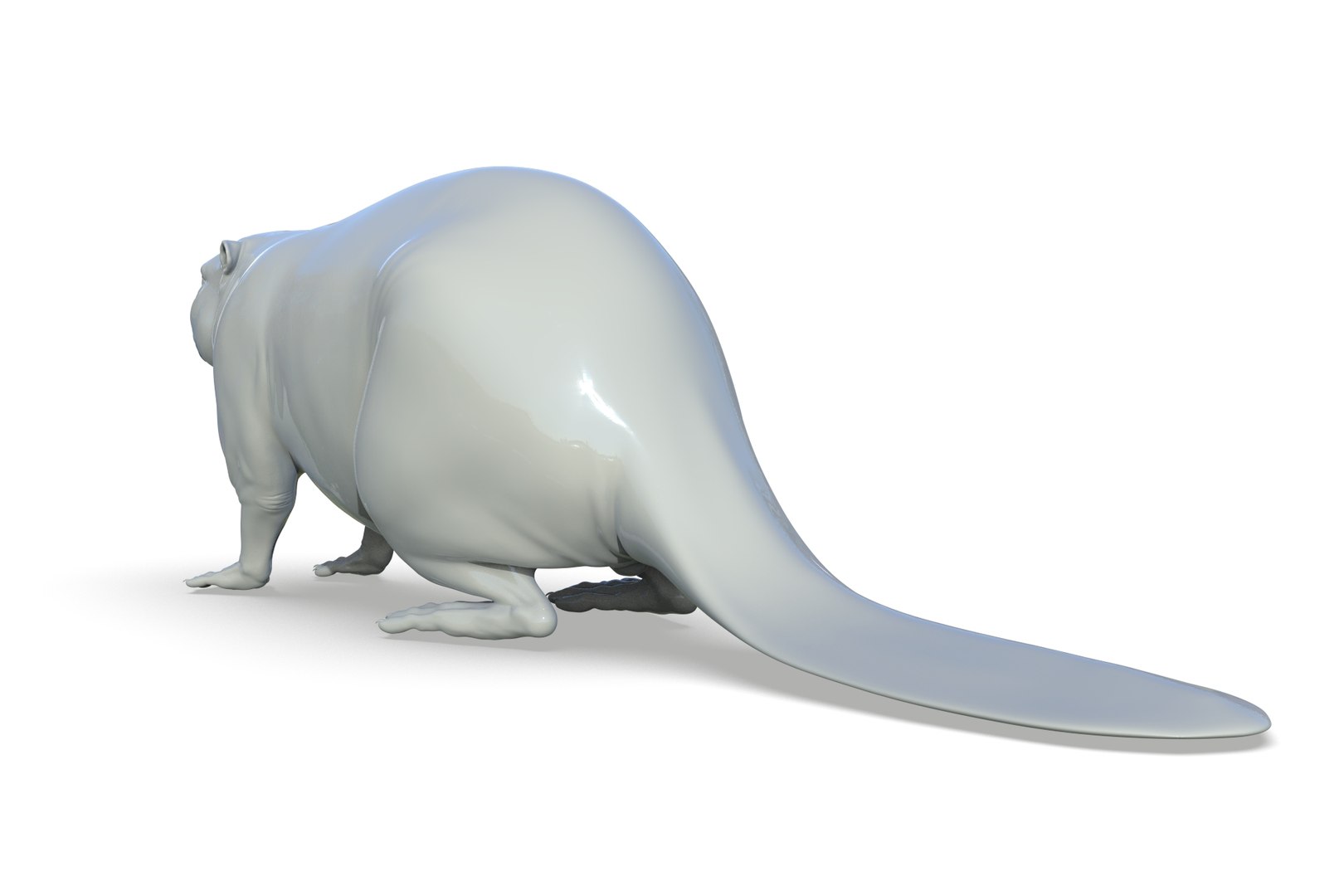 Beaver 3D Model - TurboSquid 2205846