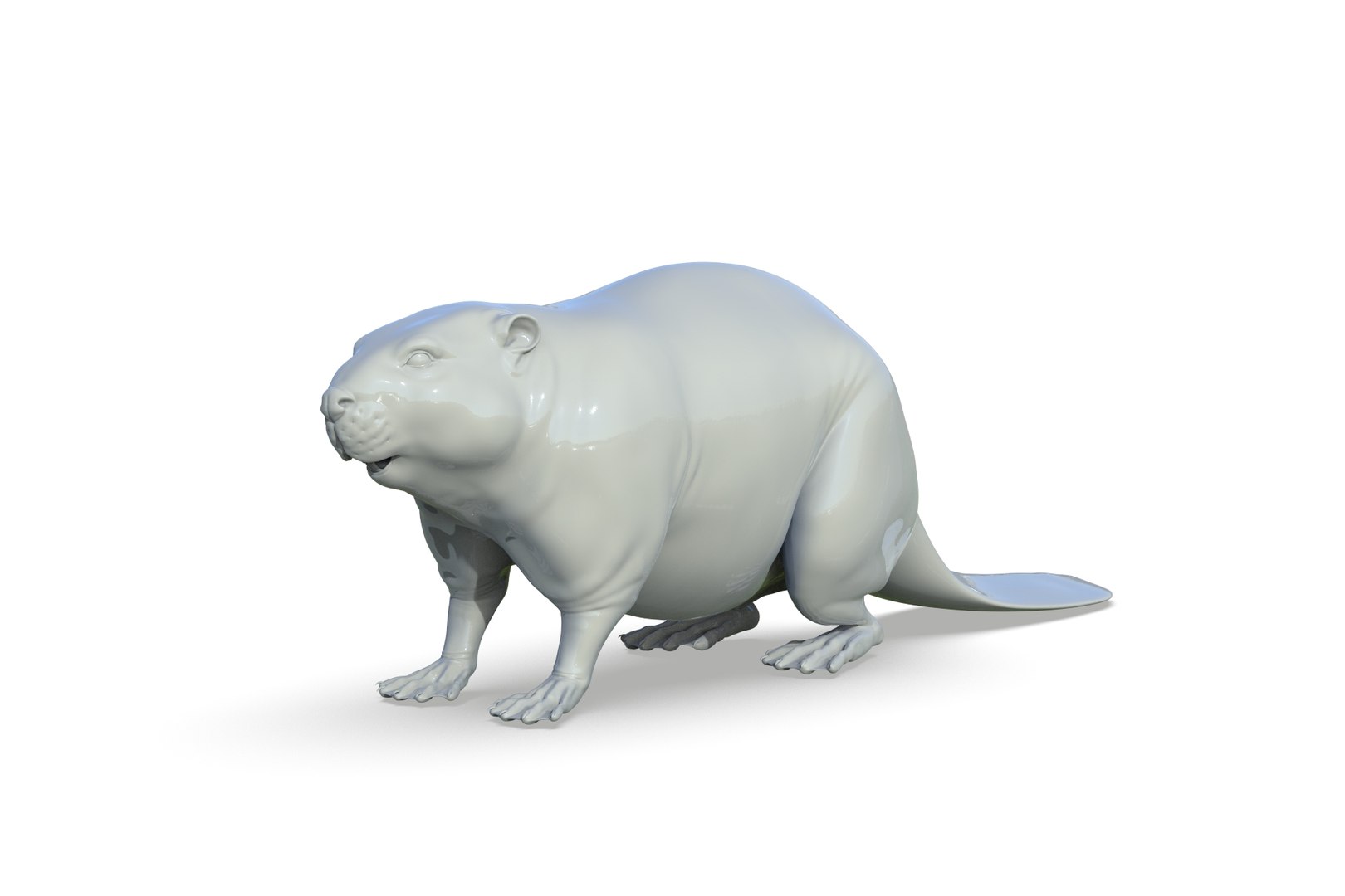 Beaver 3D Model - TurboSquid 2205846