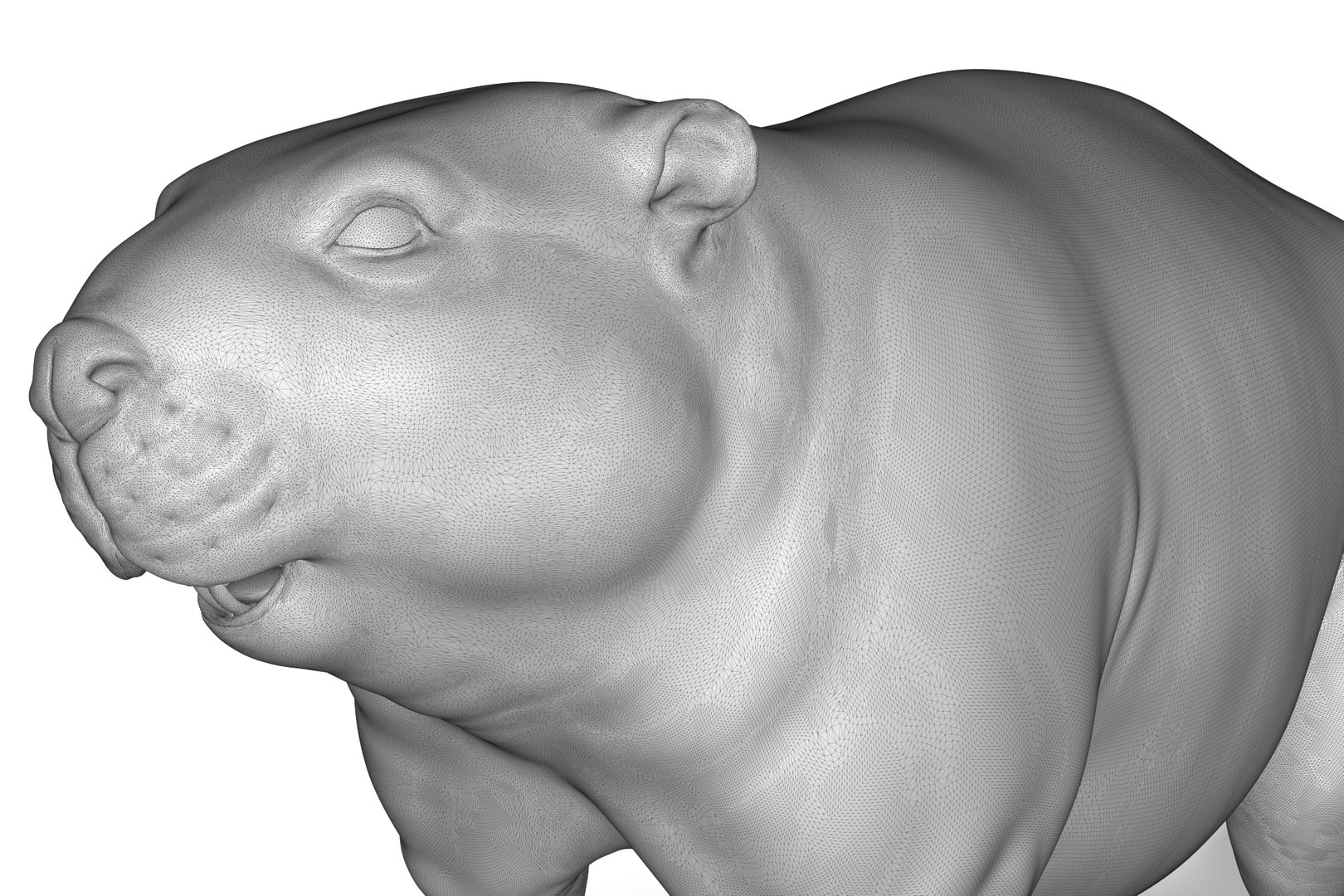 Beaver 3D Model - TurboSquid 2205846