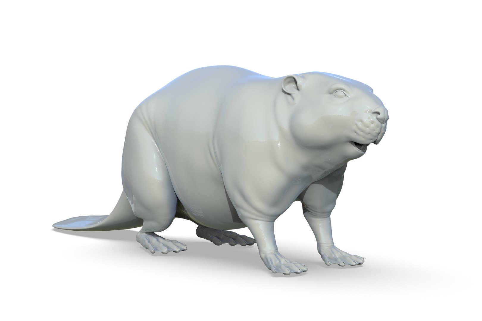 Beaver 3D Model - TurboSquid 2205846