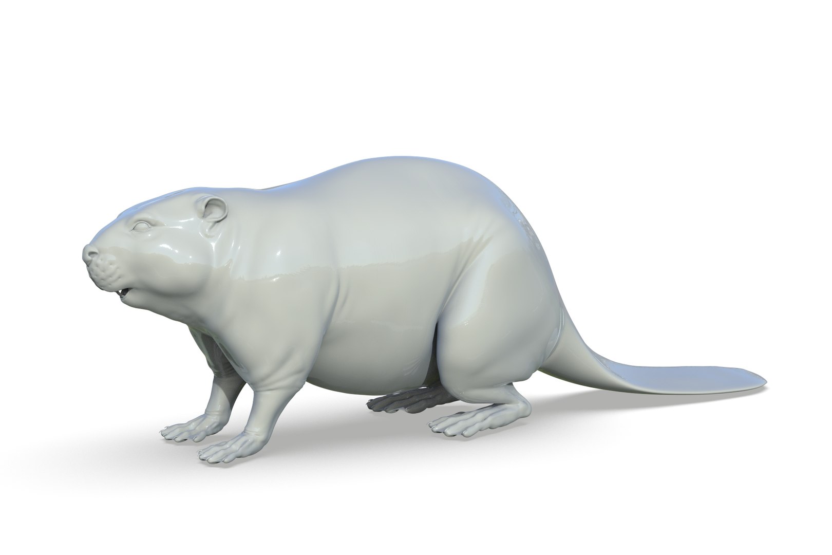 Beaver 3D Model - TurboSquid 2205846