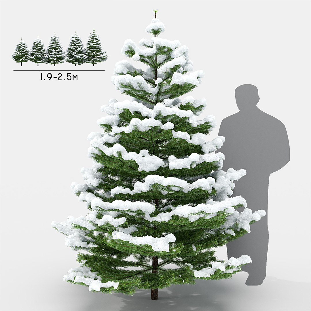 3D Fir Tree Model - TurboSquid 1547407