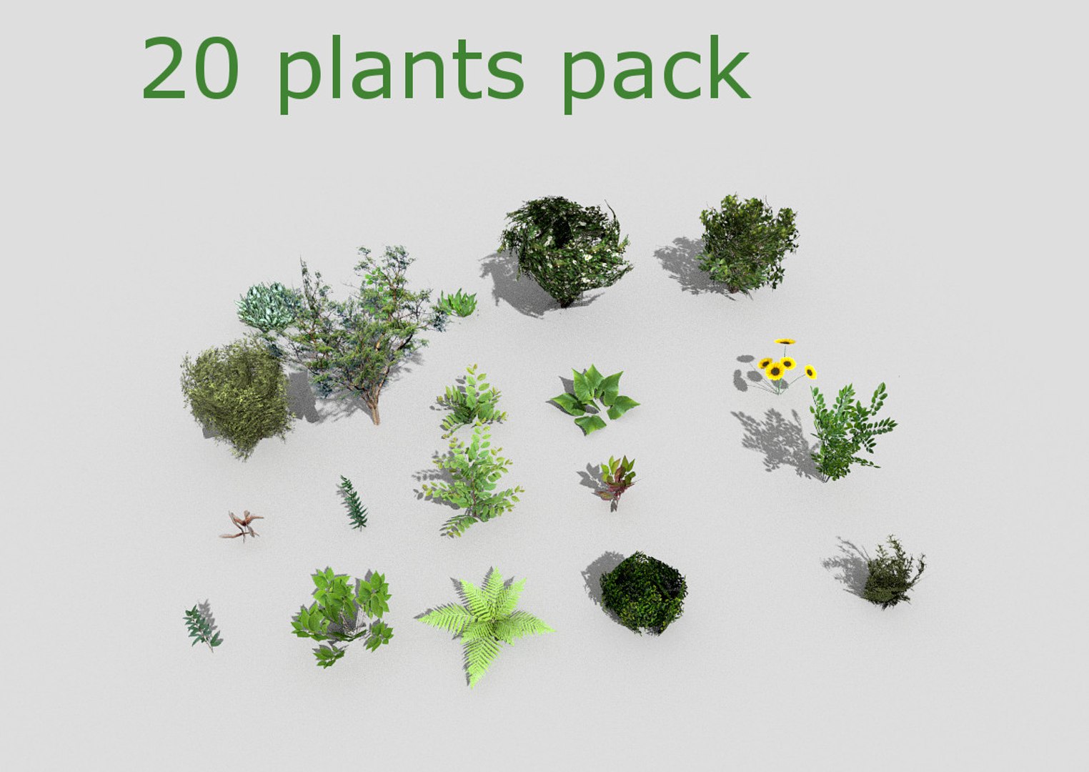 20 Plants 3d Model