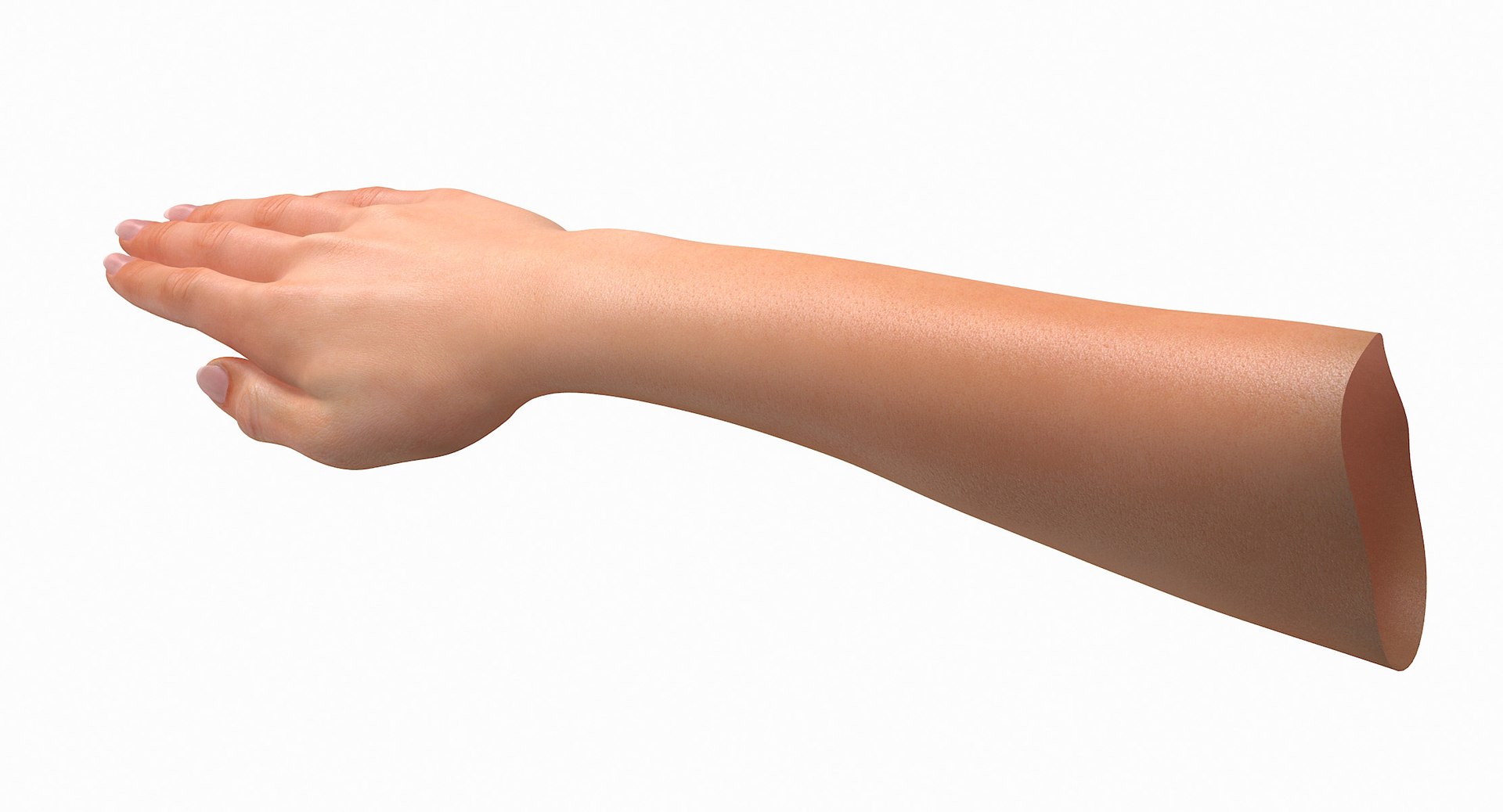 Female arm pose c 3D model - TurboSquid 1188045
