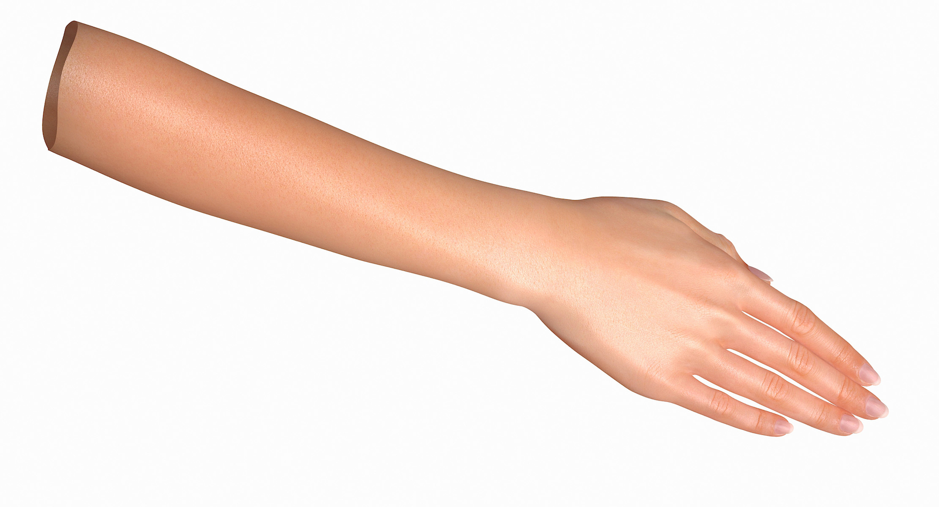 Female arm pose c 3D model - TurboSquid 1188045