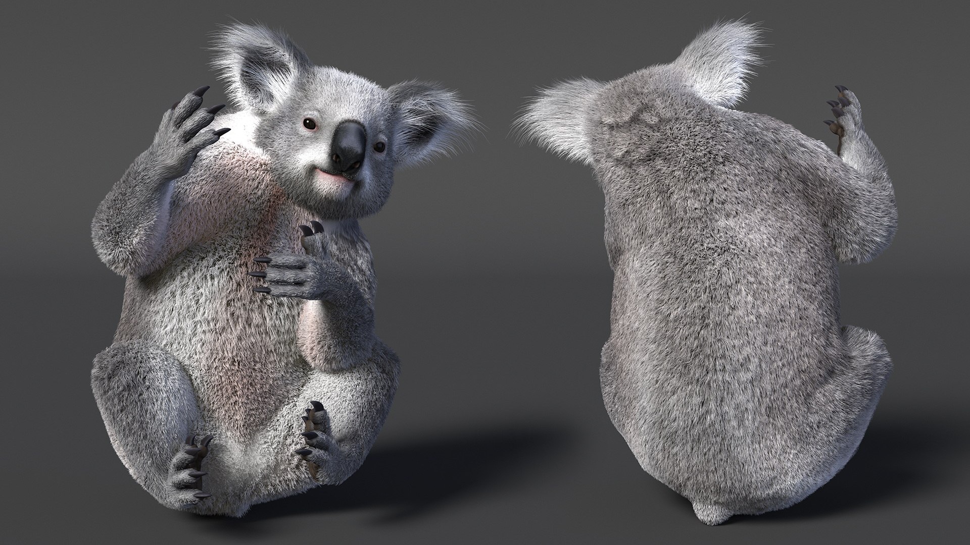 Koala Climbing Fur 3D - TurboSquid 2167648