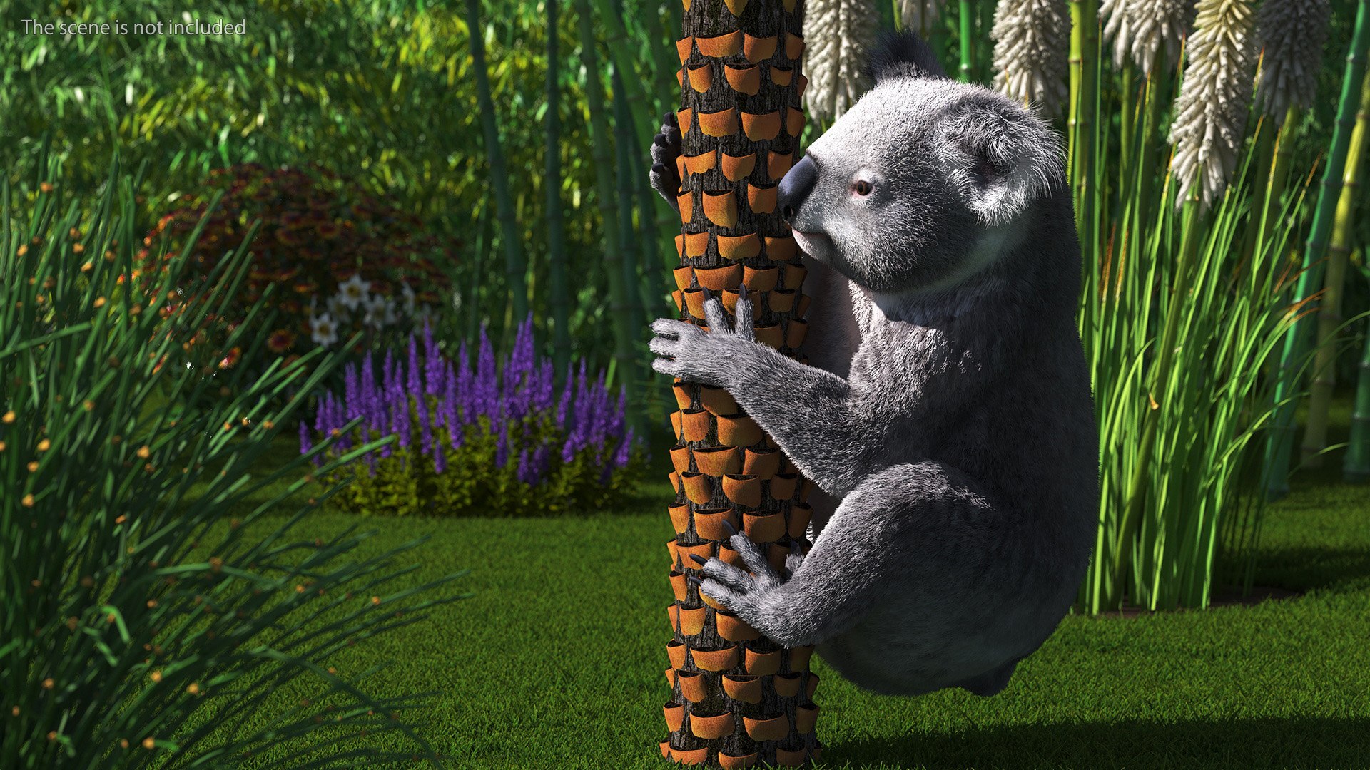 Koala Climbing Fur 3D - TurboSquid 2167648