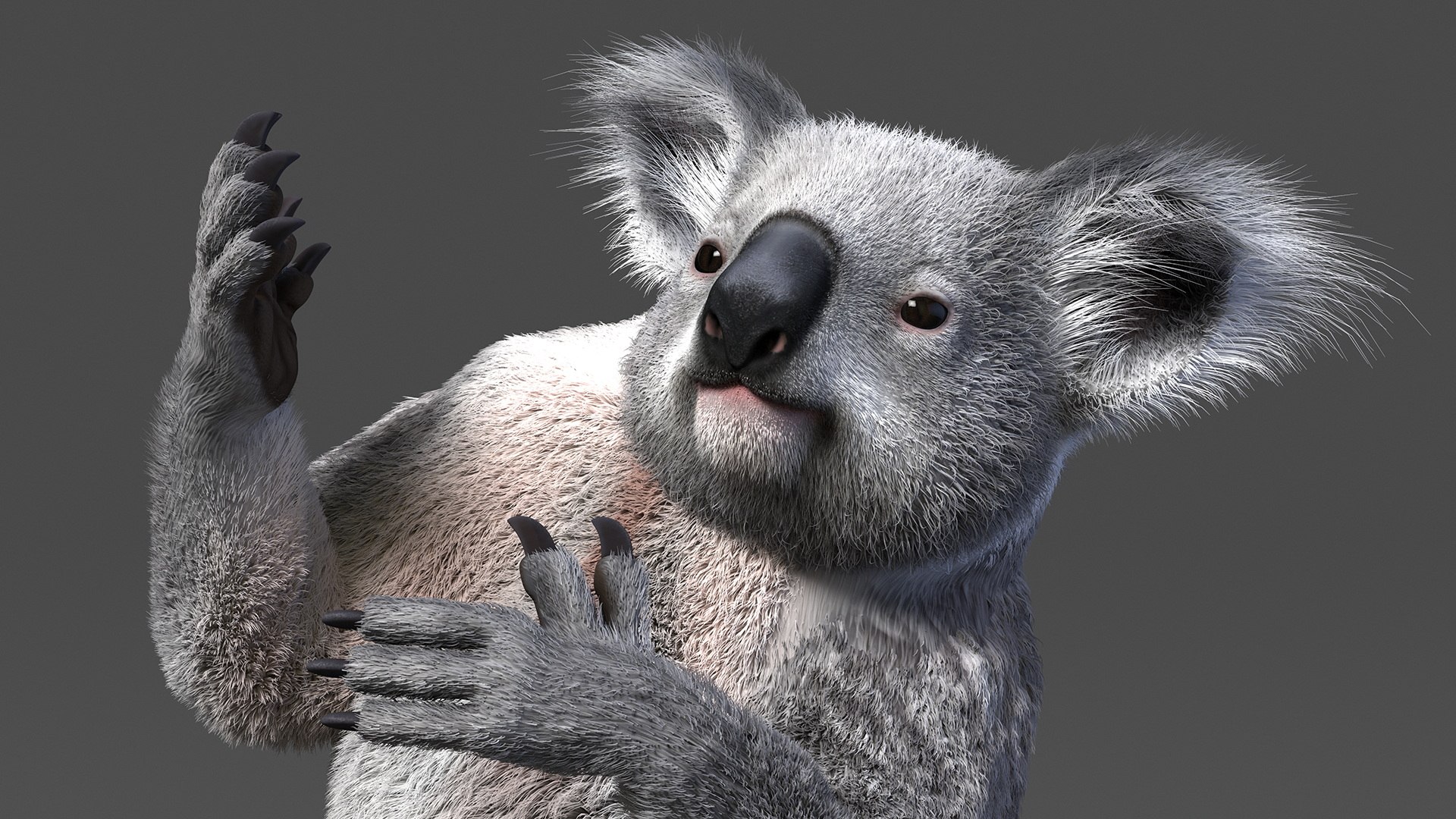 Koala Climbing Fur 3D - TurboSquid 2167648