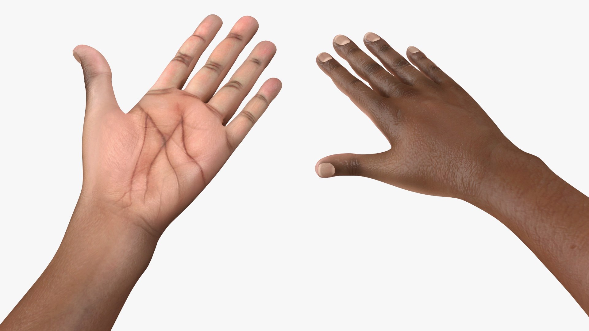 Light Skin Young Man Basketball Player Rigged for Maya 3D model ...