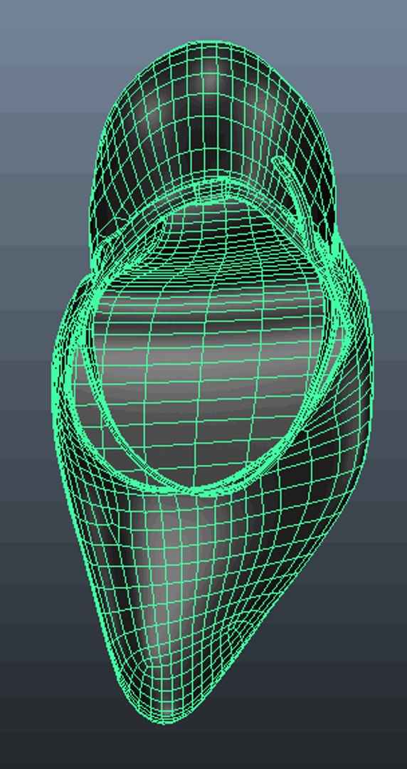 Life 3D Model - TurboSquid 1212411