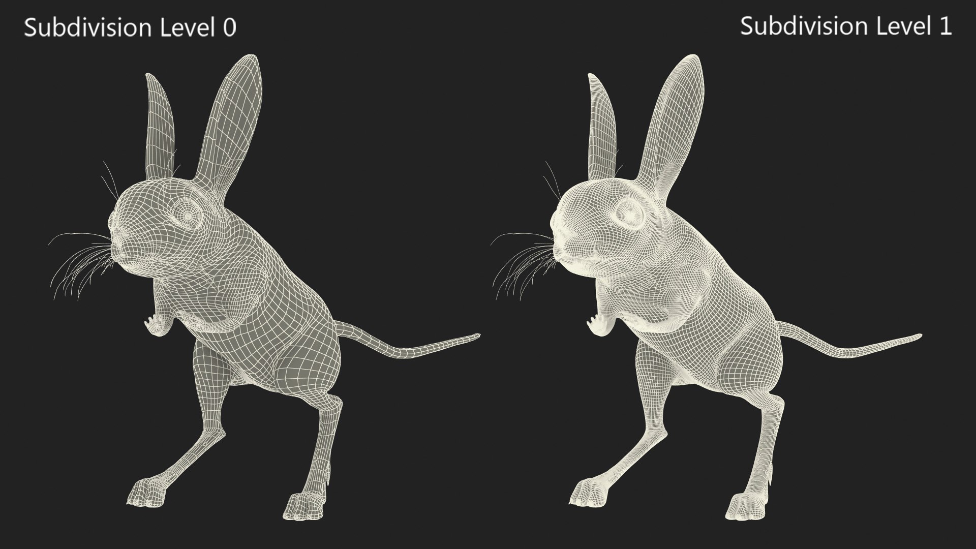3D Desert Jerboa Fur Model - TurboSquid 2197015