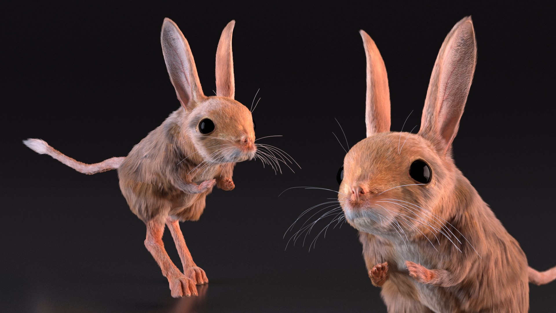 3D Desert Jerboa Fur Model - TurboSquid 2197015