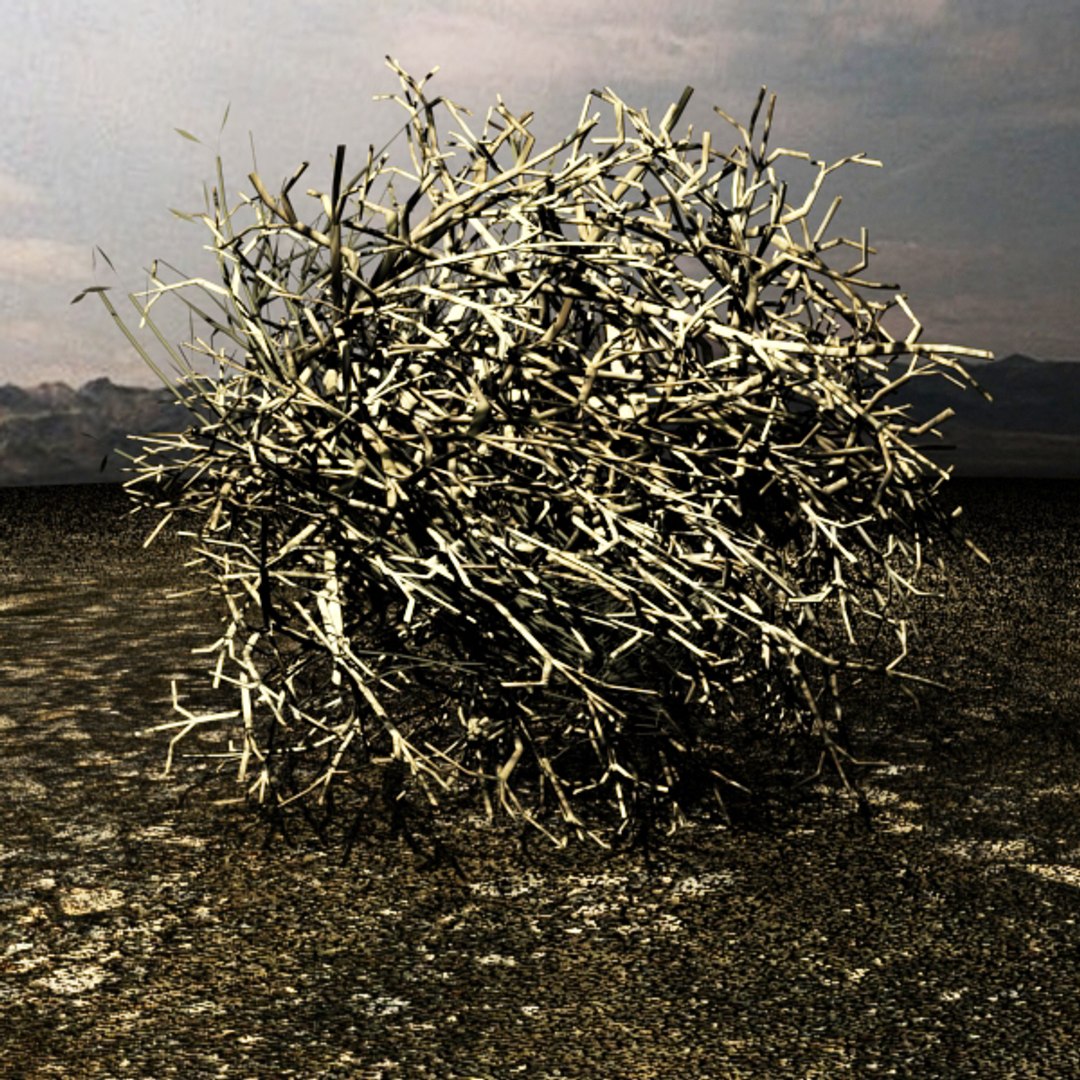 3d model western tumble weed scanline
