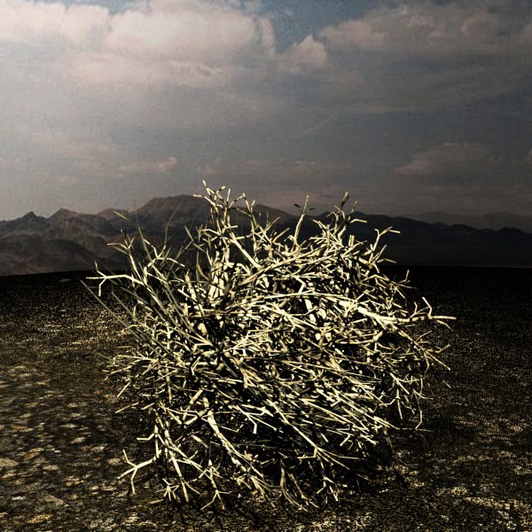 3D Tumbleweed Models | TurboSquid