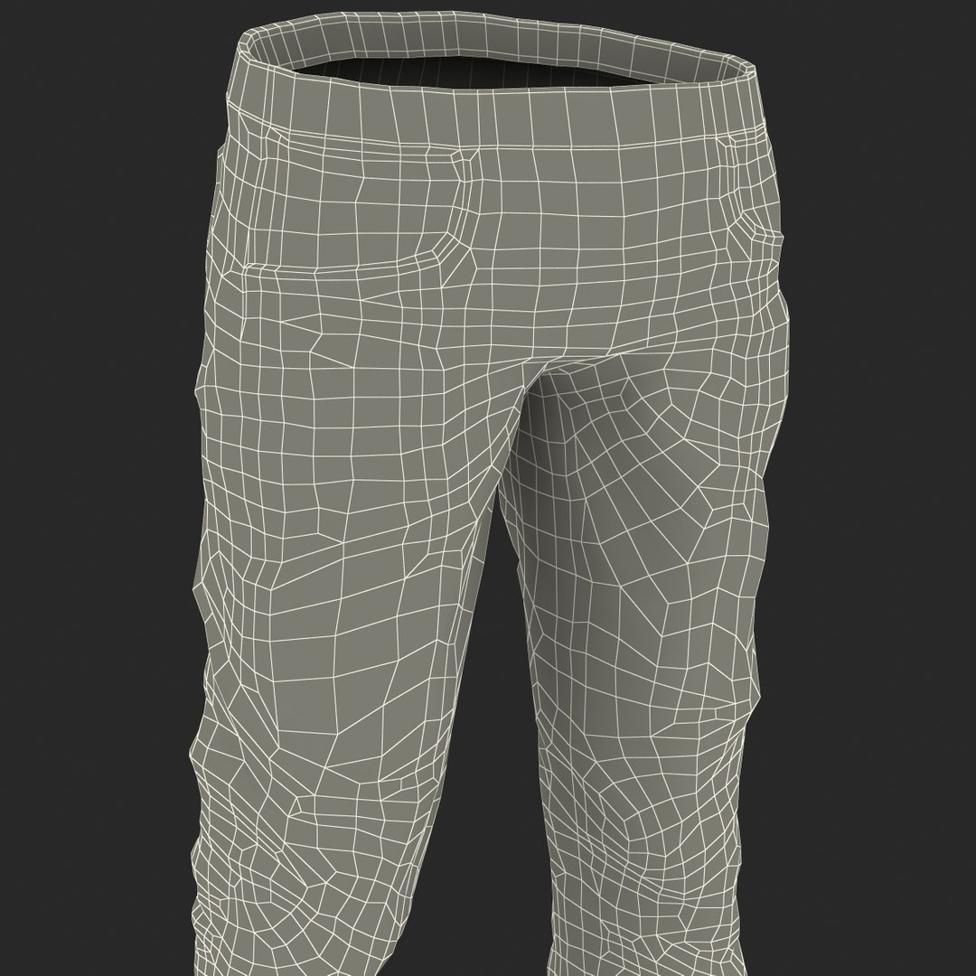 Jeans Pants 3d Model