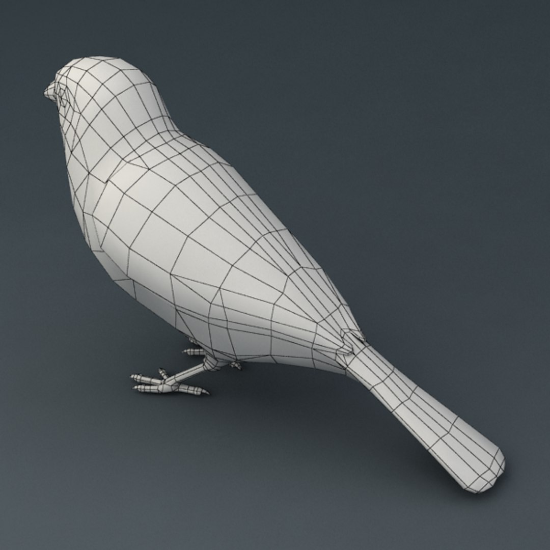 3d Model Sparrow