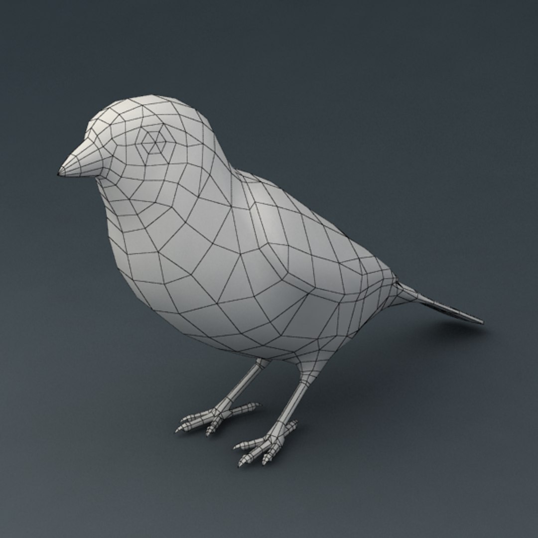 3d Model Sparrow