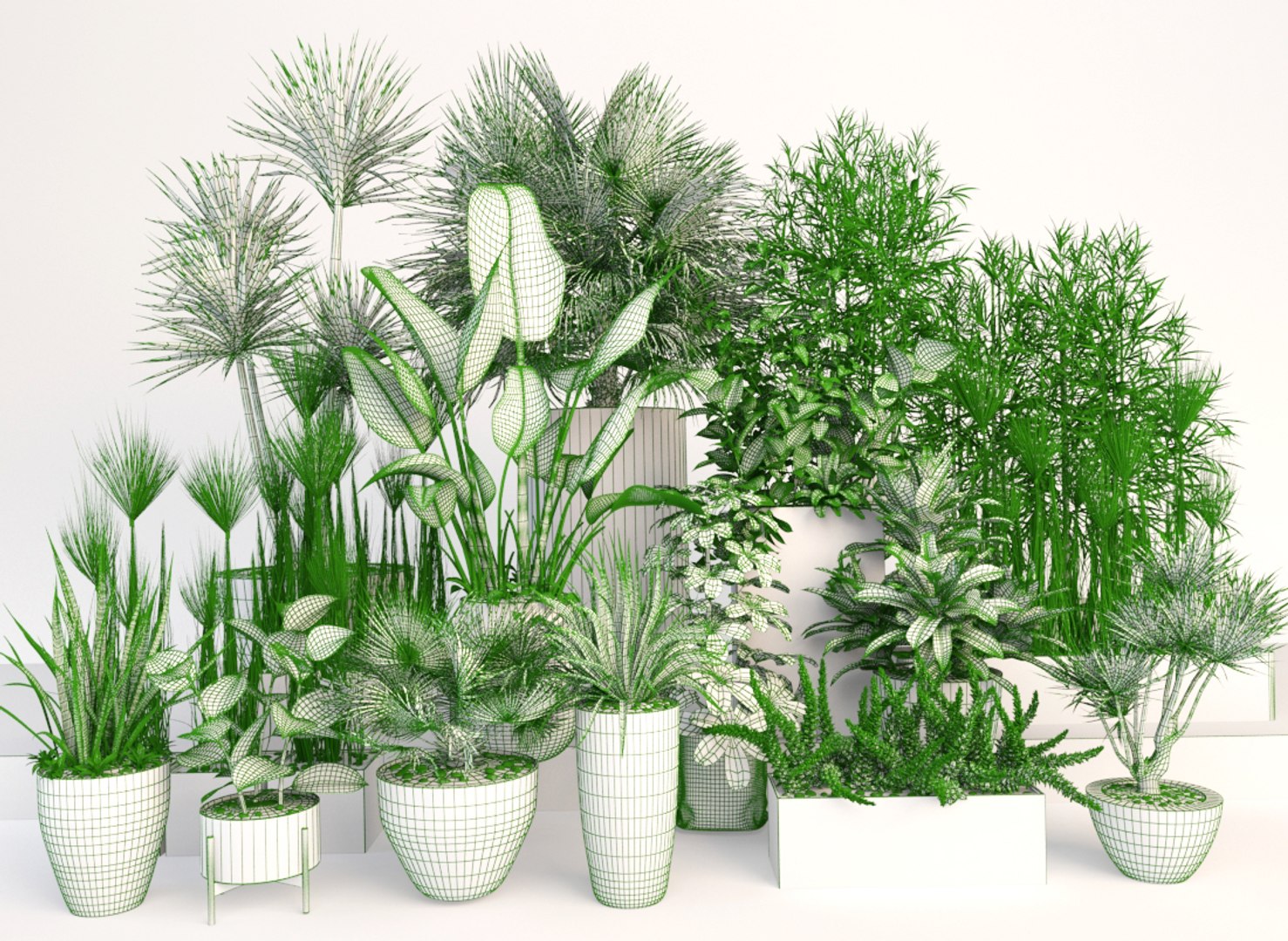 Plant 3D - TurboSquid 1245568