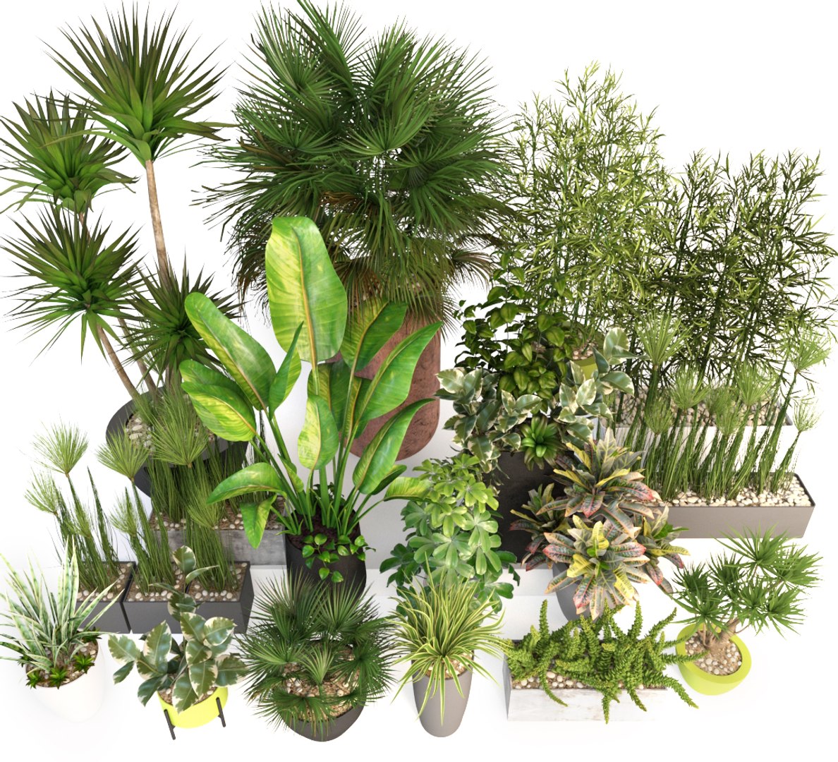 Plant 3D - TurboSquid 1245568