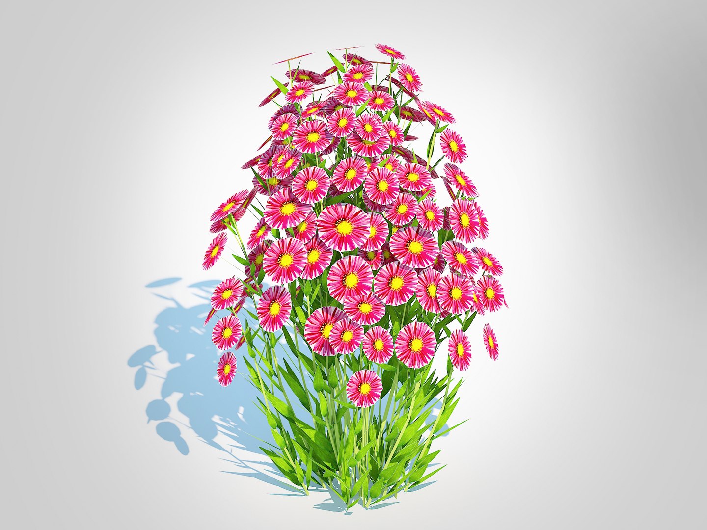 3D Model Aster Novi-belgii - New York Aster - Red - TurboSquid 2273051