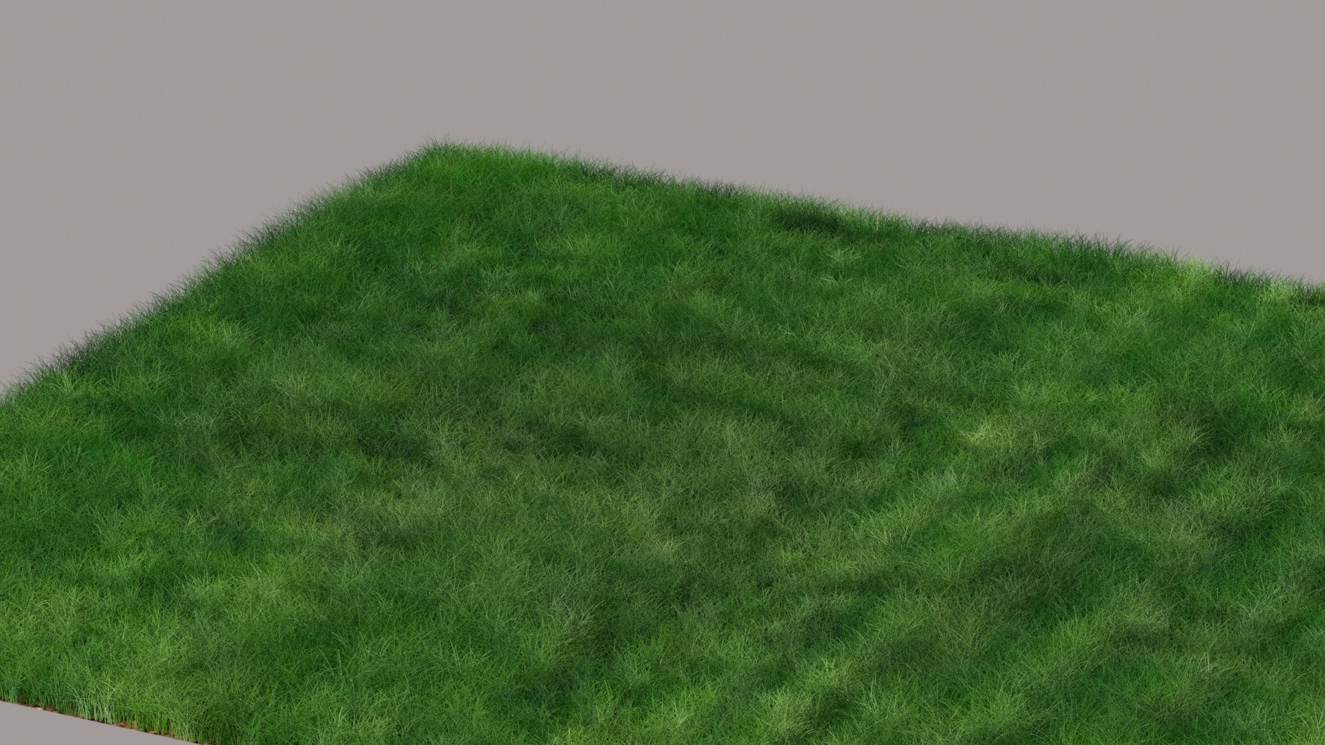 3D Grass Lawn Nature - TurboSquid 1670644
