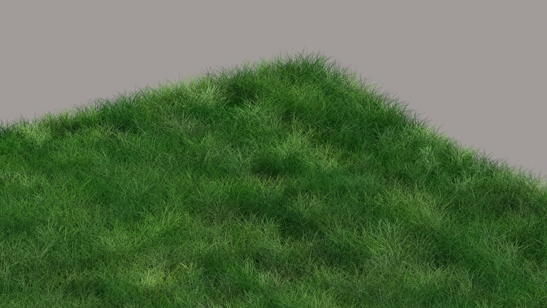 3D Grass Lawn Nature - TurboSquid 1670644