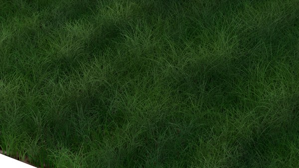 3D grass lawn nature - TurboSquid 1670644
