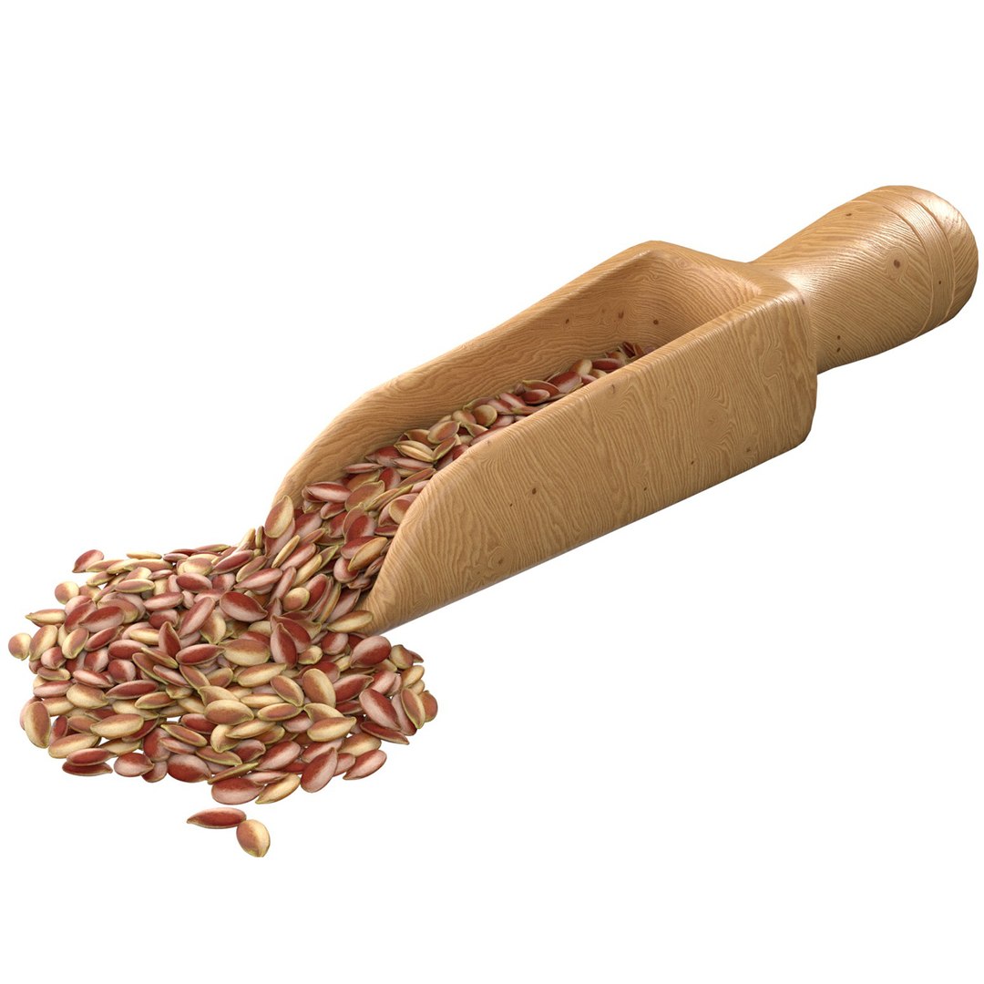Modello 3D Cucchiaio per semi di lino - TurboSquid 2406352