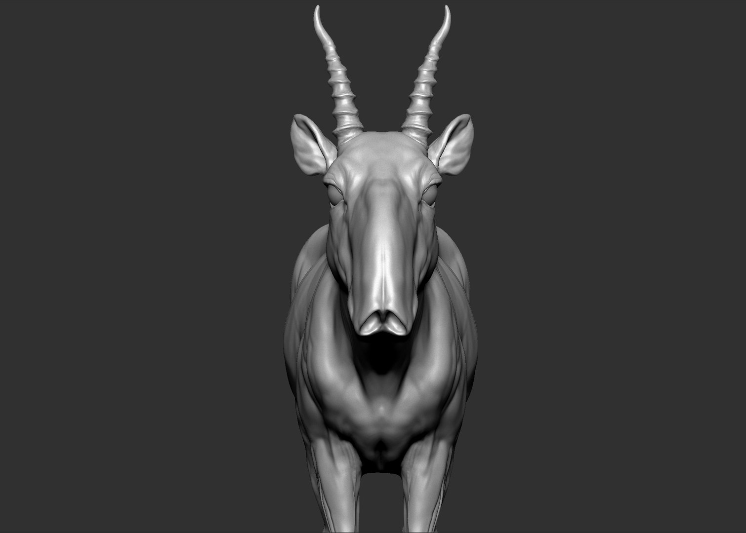 3D Saiga Antelope - TurboSquid 1440973