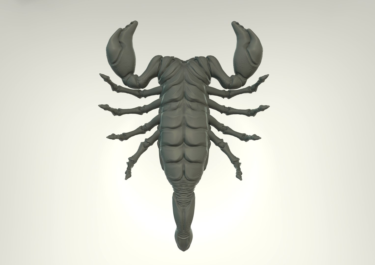 Scorpion 3D Model - TurboSquid 1195519