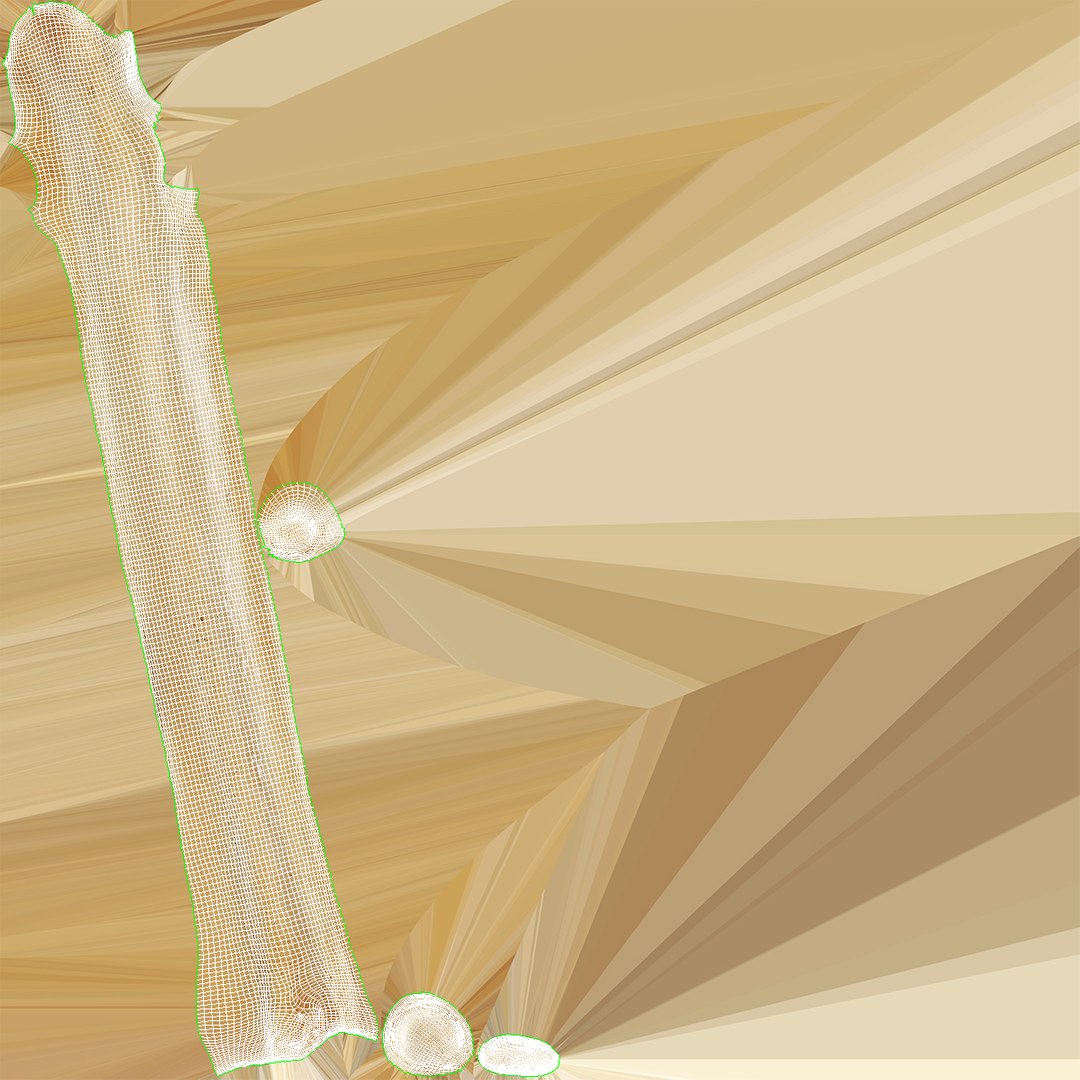 Kangaroo Red Necked Wallaby Rib T12 Model - TurboSquid 2069500