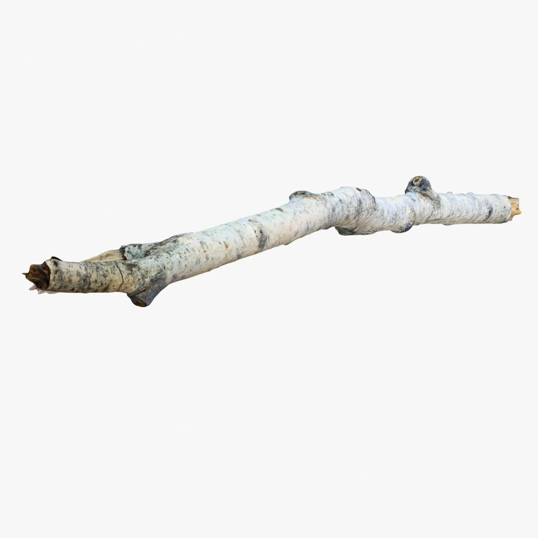 3D Realistic Branch - TurboSquid 1217979