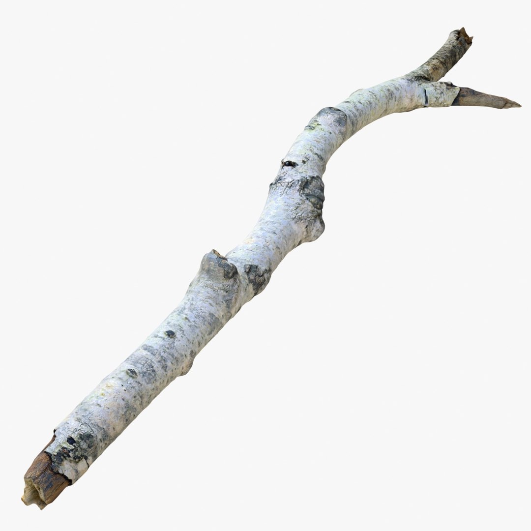 3D Realistic Branch - TurboSquid 1217979