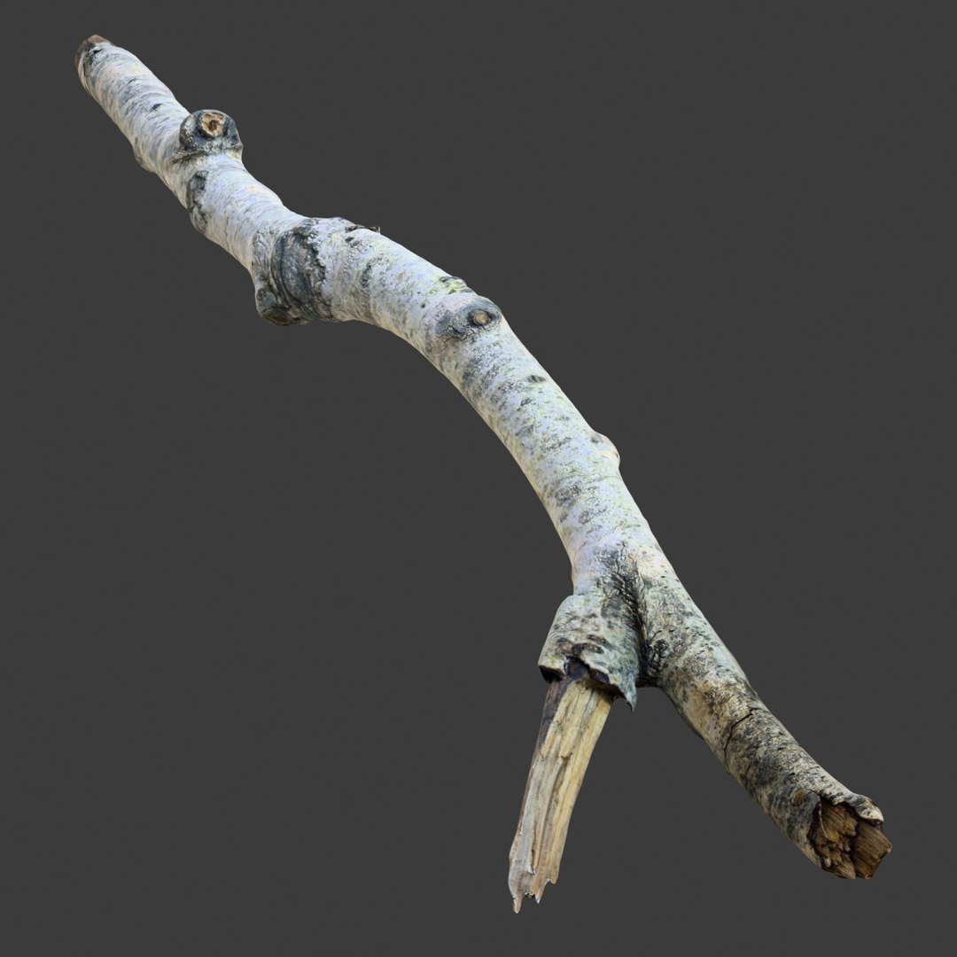 3D realistic branch - TurboSquid 1217979