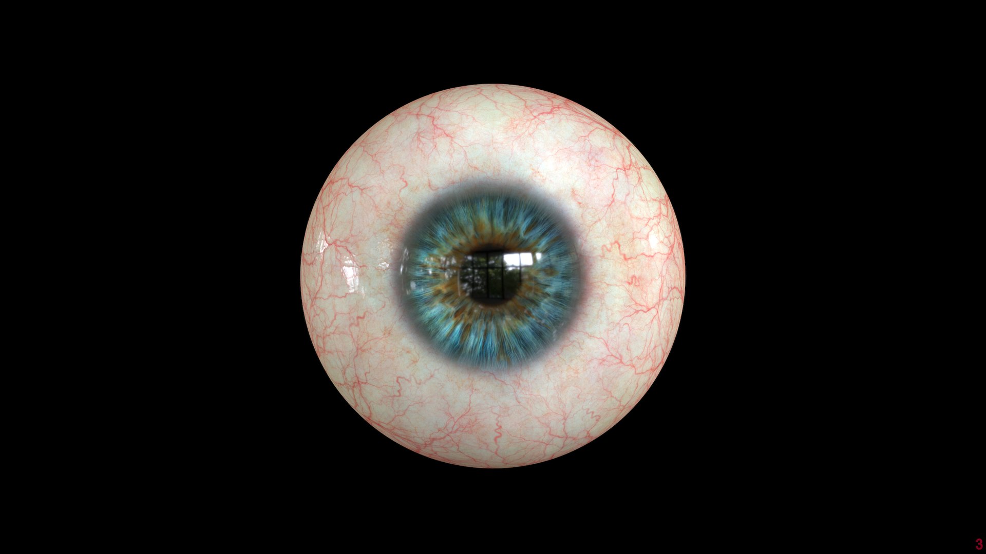 Eye Blue 2 Real-time 3D Model 4k Texture Marmoset Toolbag3 Maya FBX OBJ 3D - TurboSquid 1981505