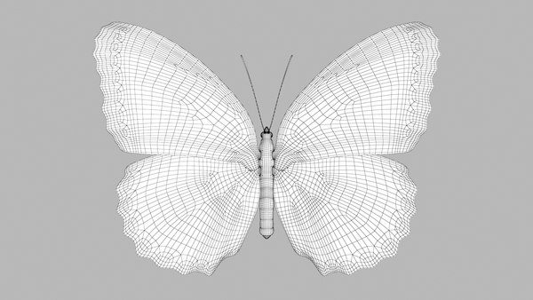 Butterfly monarch 3D model - TurboSquid 1599730