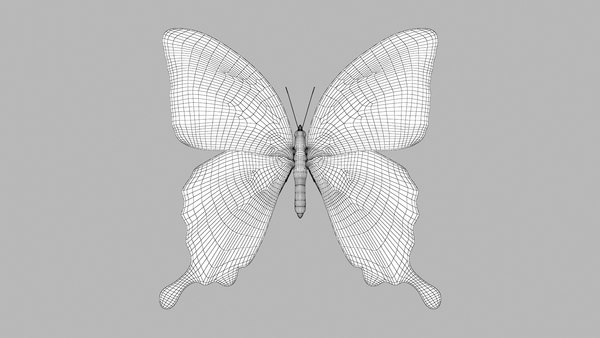 Butterfly monarch 3D model - TurboSquid 1599730
