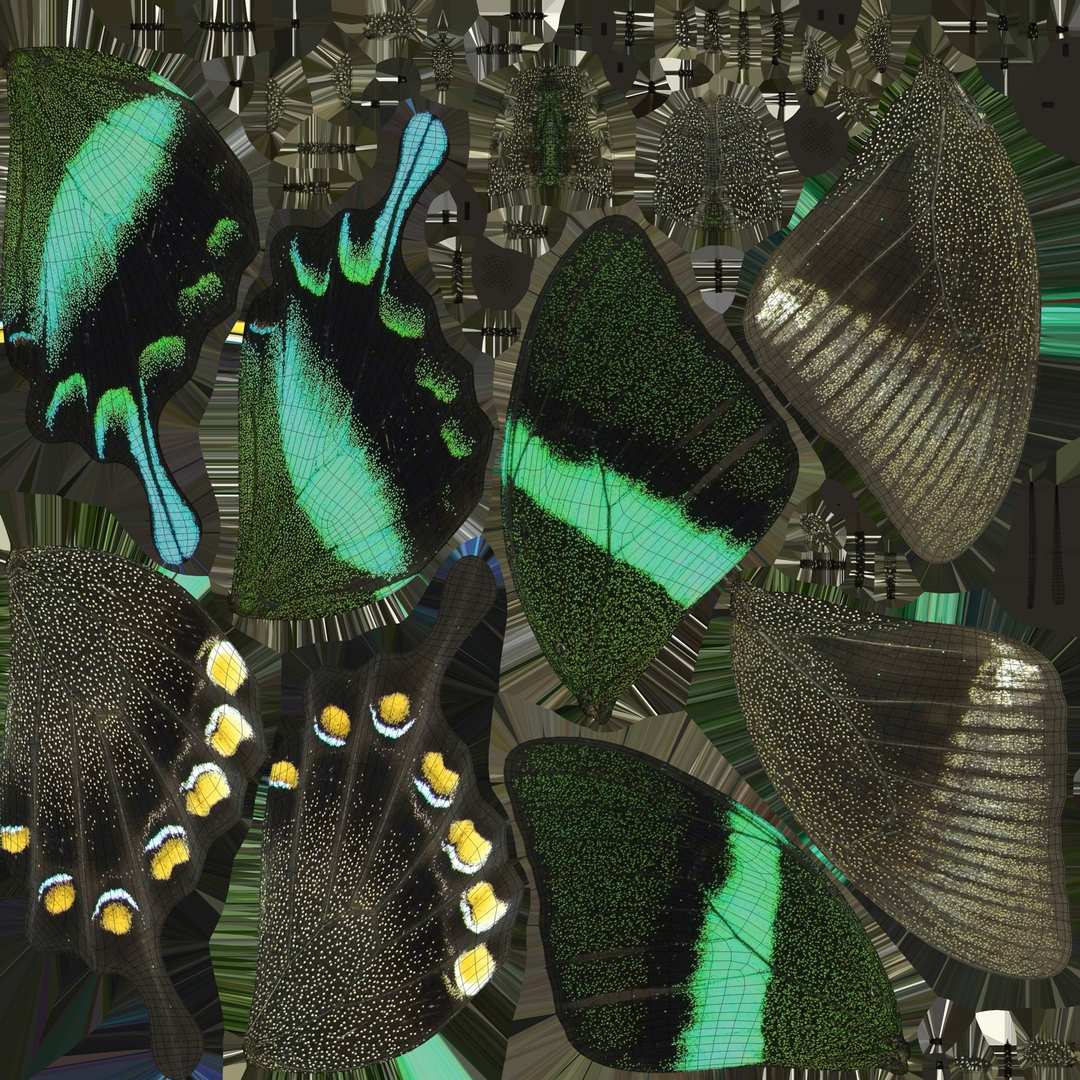 Butterfly monarch 3D model - TurboSquid 1599730