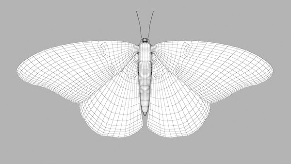 Butterfly monarch 3D model - TurboSquid 1599730