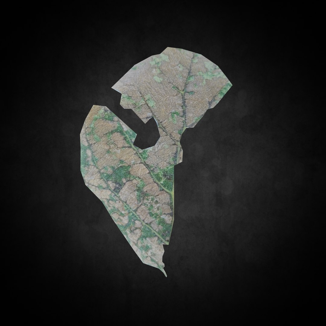 3D Low Poly Leaf 035 Model - TurboSquid 1852386