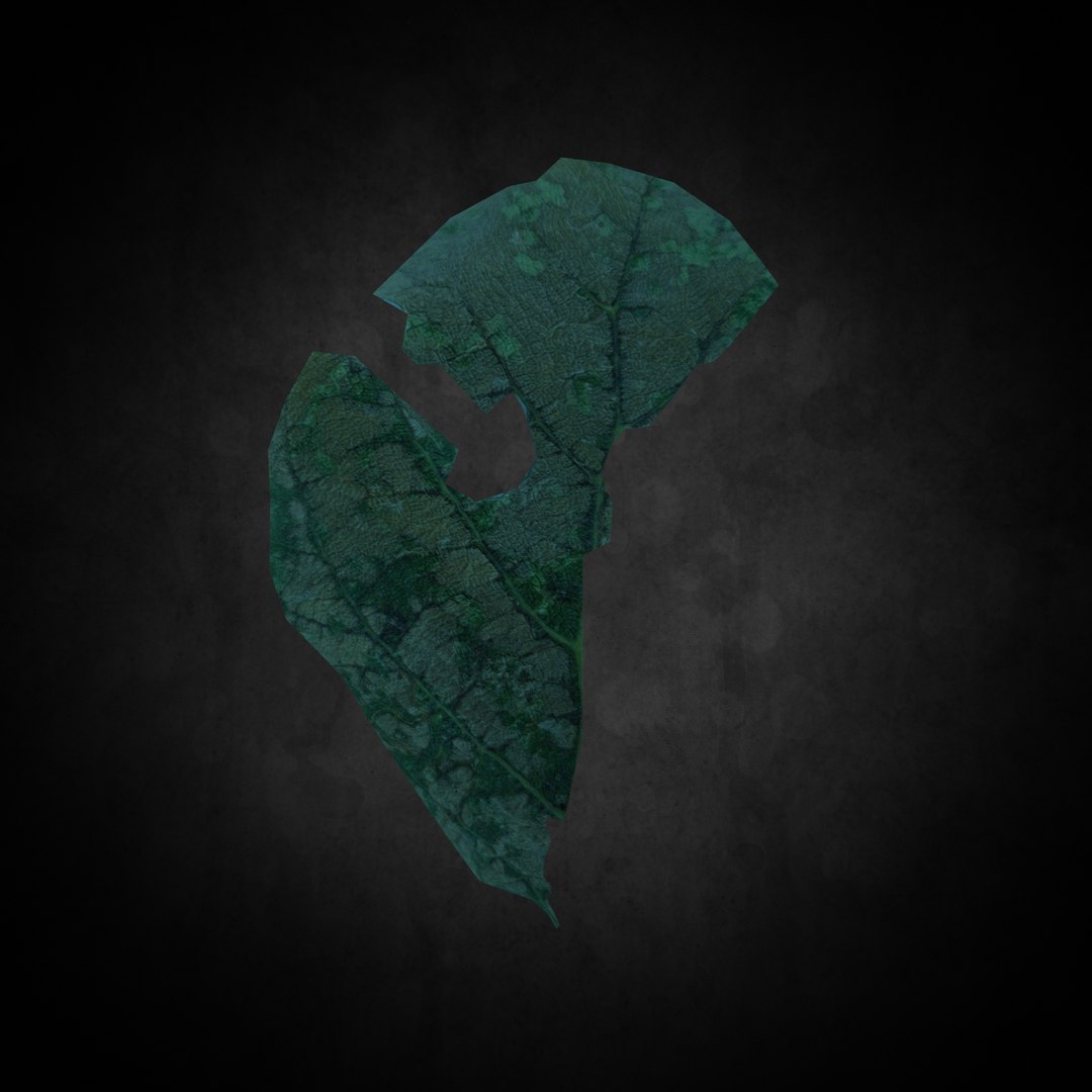 3D Low Poly Leaf 035 Model - TurboSquid 1852386