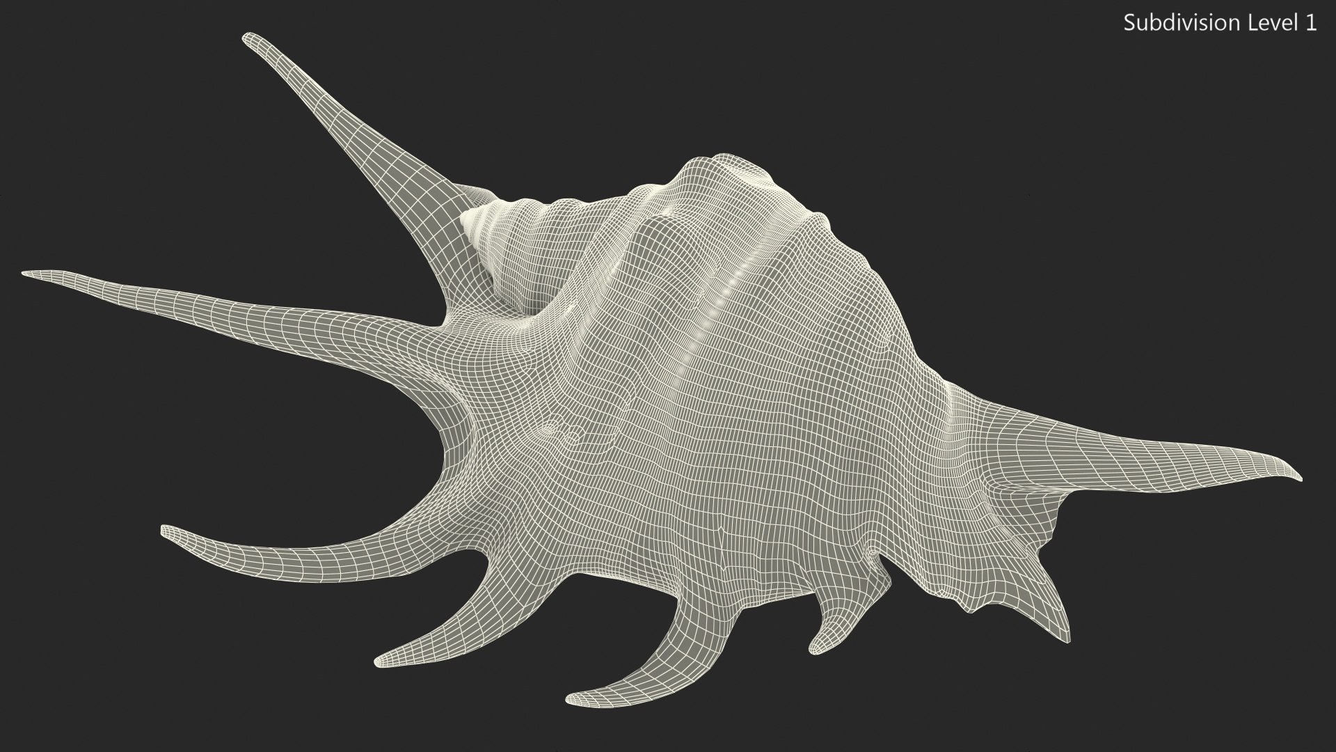 3D Lambis Truncata Shell - TurboSquid 1975144