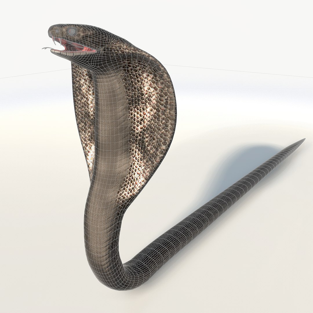 3ds King Cobra Snake