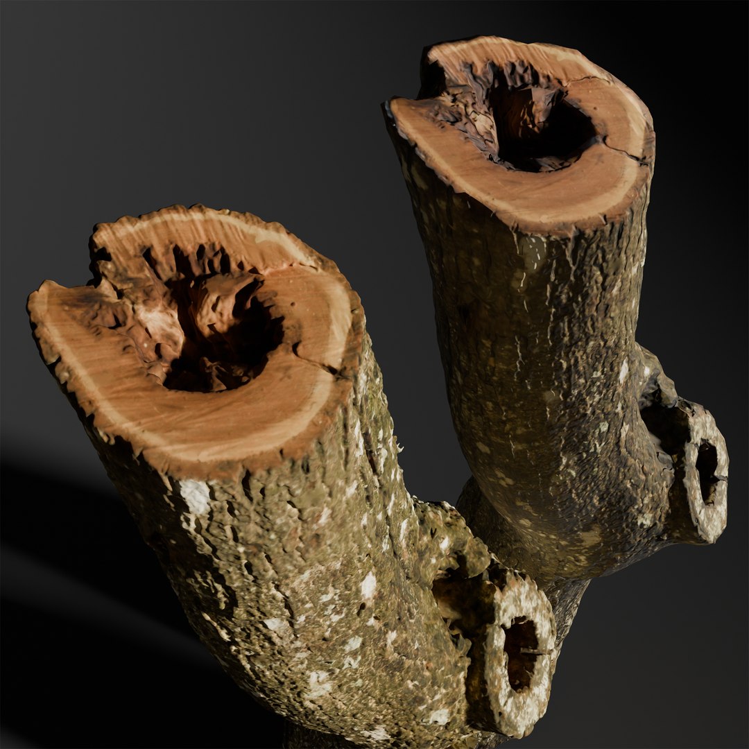 High-Poly And Low-Poly Tree Trunk Asset - 3D Scan 3D Model - TurboSquid ...