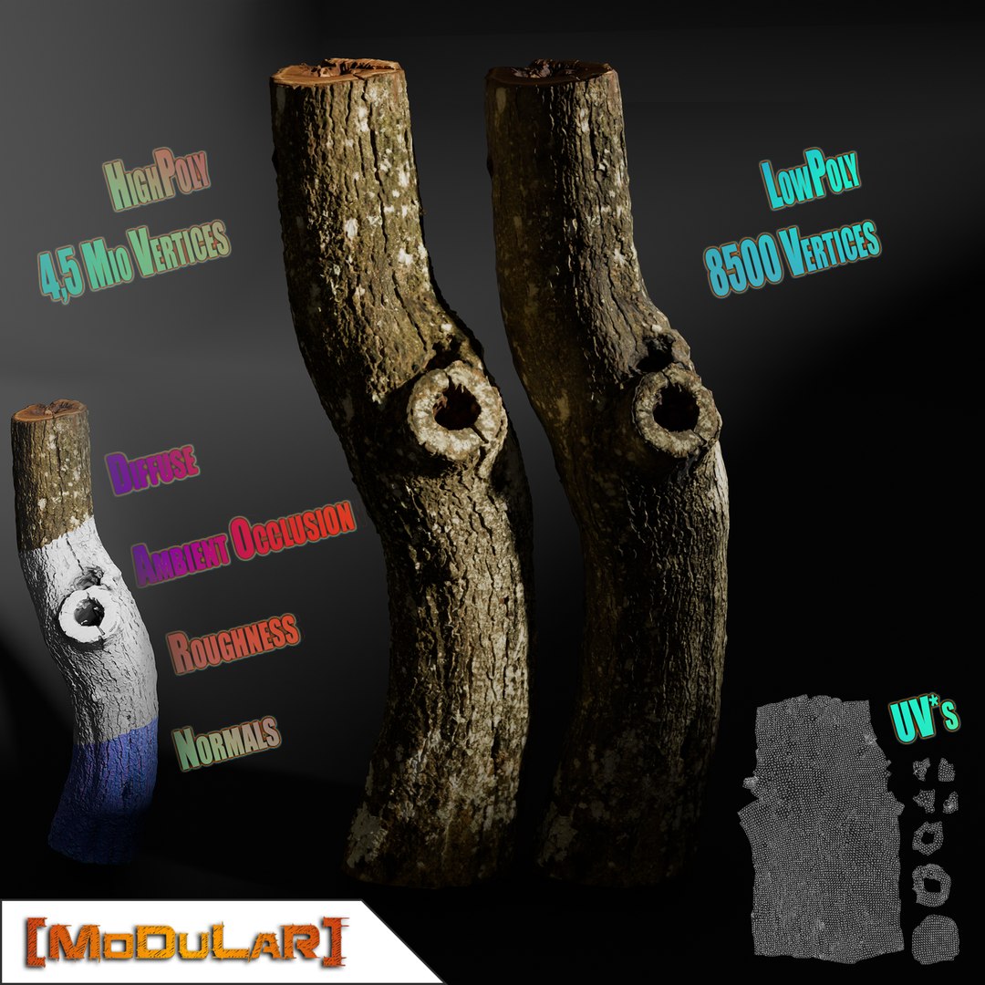 High-Poly And Low-Poly Tree Trunk Asset - 3D Scan 3D Model - TurboSquid ...