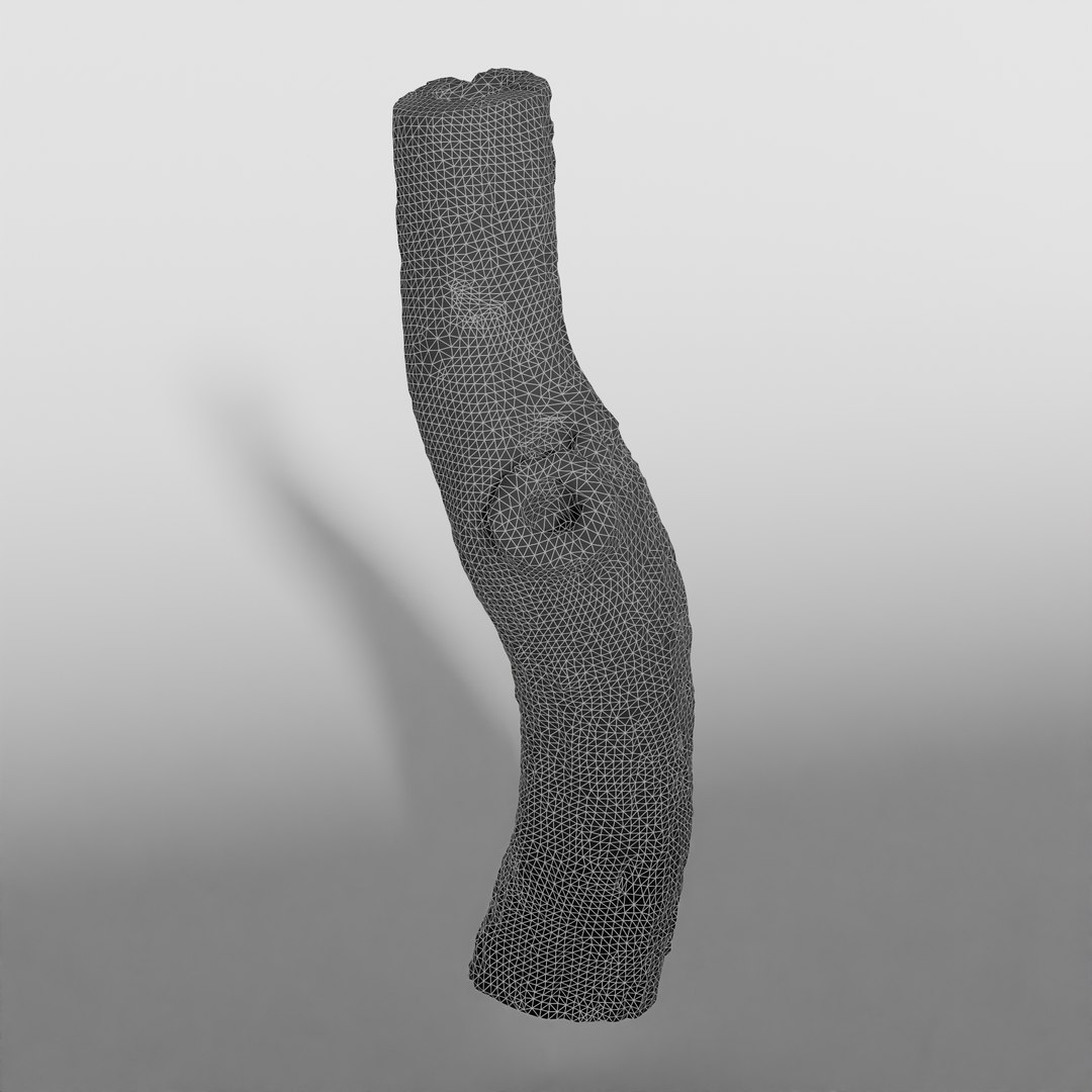 High-Poly And Low-Poly Tree Trunk Asset - 3D Scan 3D Model - TurboSquid ...