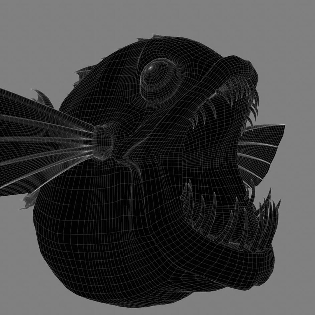 Stylized Piranha 3d Model