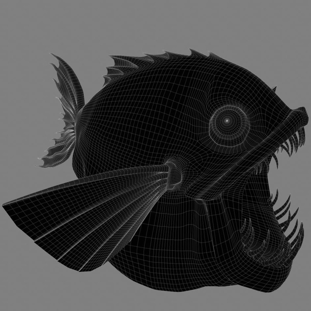 Stylized Piranha 3d Model