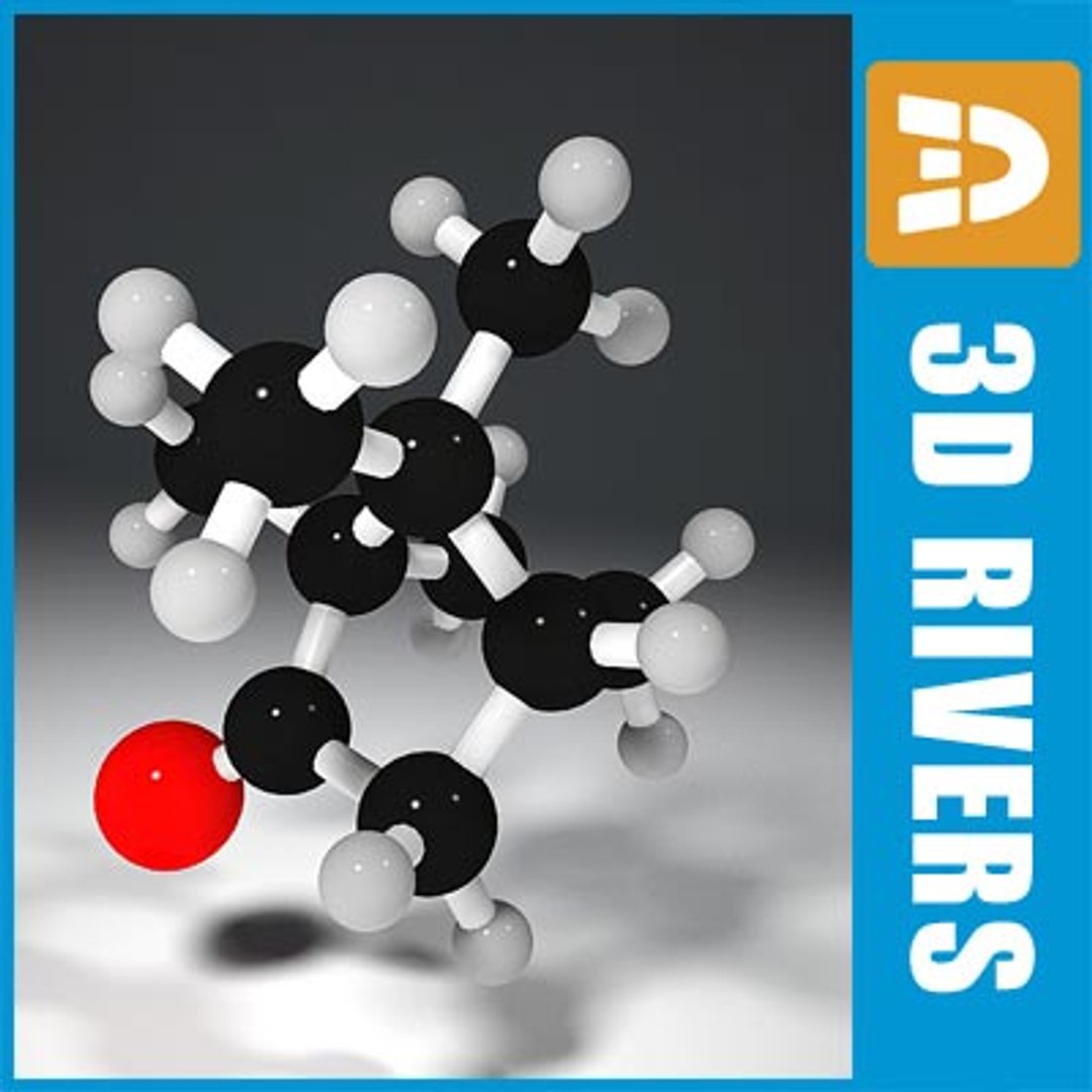 3d Camphor Molecule Structure